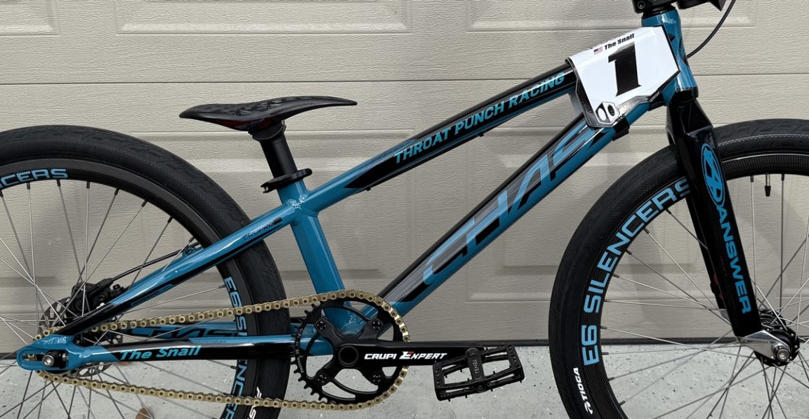 Bike Of The Day: Donna's 2023 Chase Element Pro Cruiser