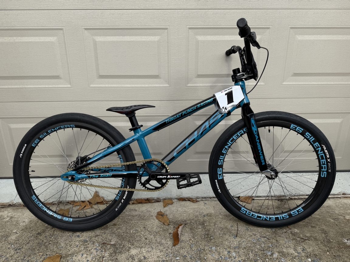 Bike Of The Day: Donna's 2023 Chase Element Pro Cruiser