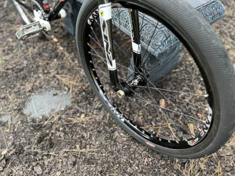 Bike Of The Day: Roy's 2009 Bulldog Blackstar 24in BMX Cruiser