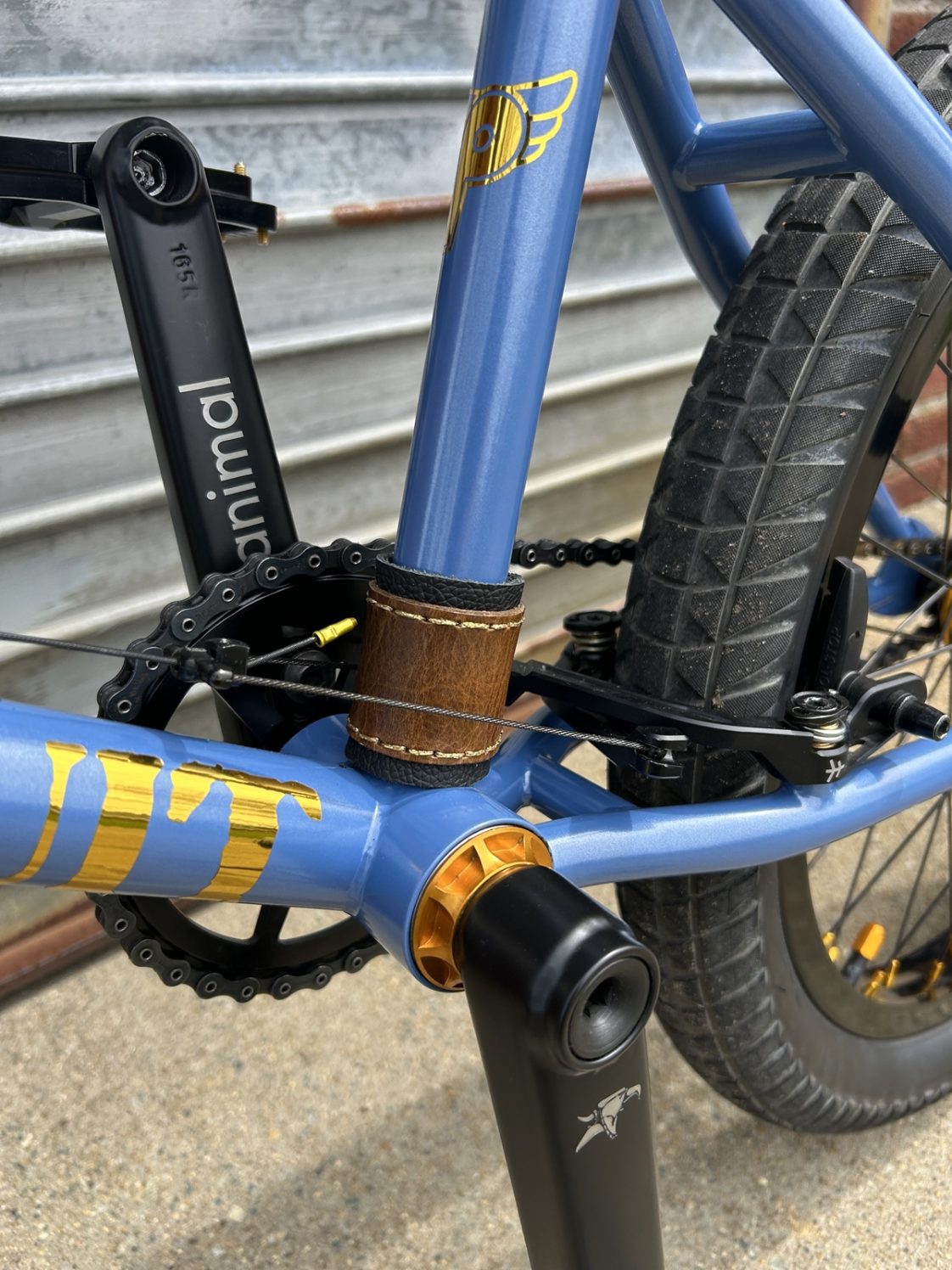 Bike Of The Day: Joey's 2020 Circuit BMX Rooster BMX