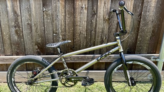 Bike Of The Day: Craig's Standard 125R BMX Cruiser