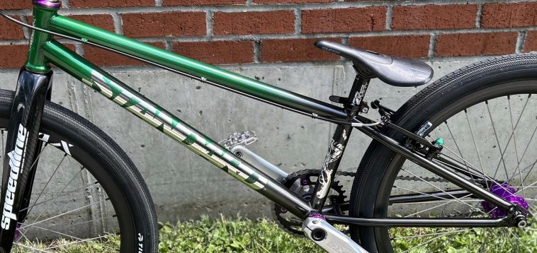 Bike Of The Day: Mike's 2025 Standard 125r 24in BMX Cruiser