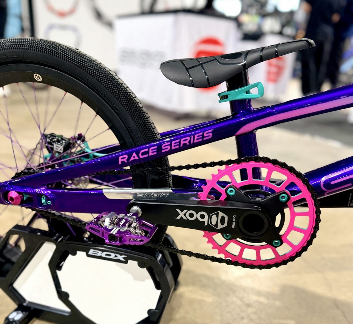 Bike Of The Day: Ryland's Custom Painted 2025 Syndyt SYB