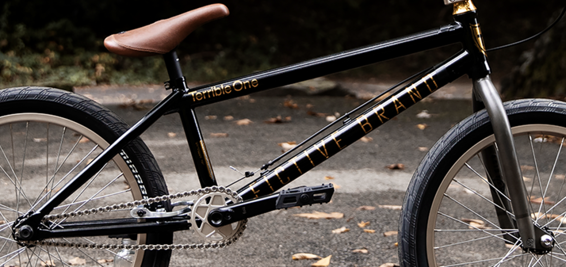 Bike Of The Day: Corey's 2018ish T-1 Ruben BMX Bike