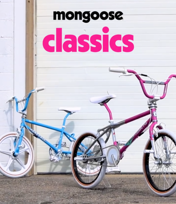 The Legendary Mongoose Decade Is Coming Back!